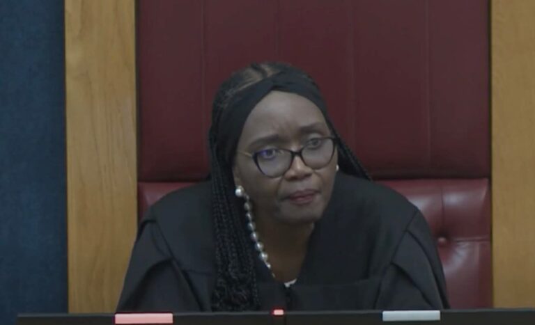 Amupanda Alleges Speaker Misused Parliamentary Staff After Chaotic ...